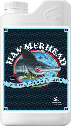 Hammerhead-1L-Advanced-Nutrients